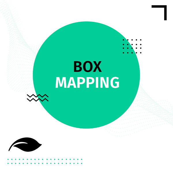 Box Mapping