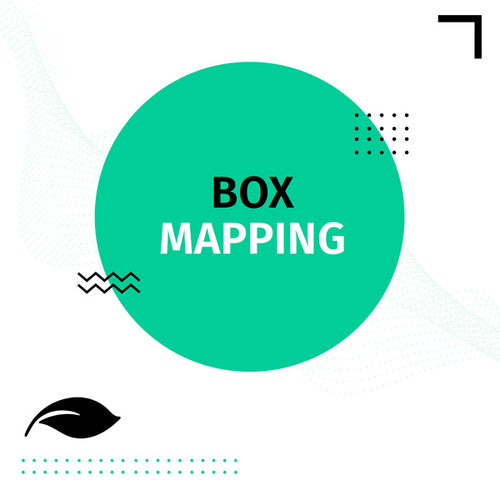 Box Mapping